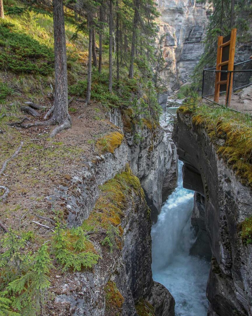 13 Things to KNOW Before Visiting Maligne Canyon in Jasper