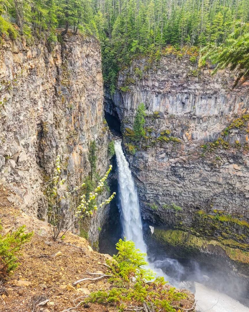 11 Things to KNOW Before Visiting Wells Gray Provincial Park