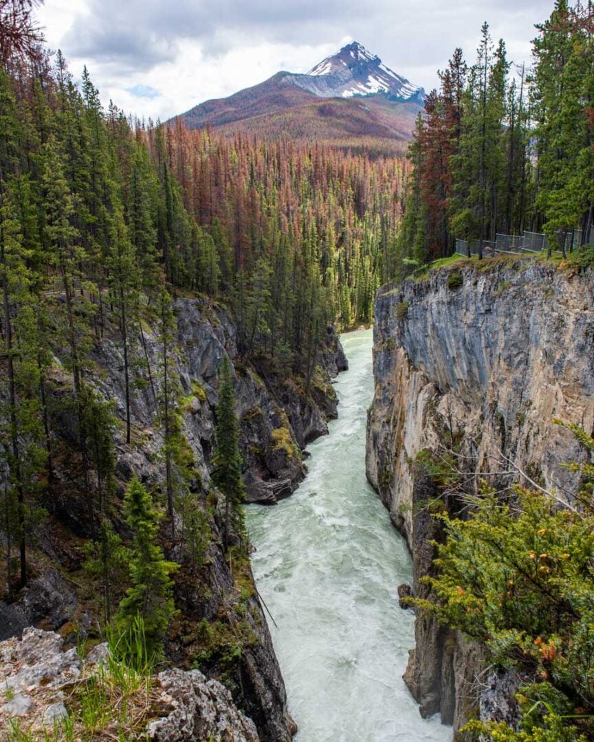 12 Things to KNOW Before Visiting Sunwapta Falls, Jasper