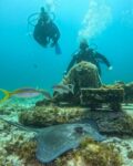 12 BEST Places to go Scuba Diving in Mexico - Destinationless Travel