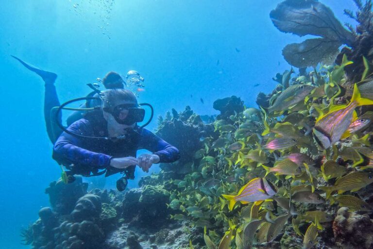 12 BEST Places to go Scuba Diving in Mexico - Destinationless Travel