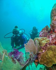 10 Things to KNOW Before Going Scuba Diving in Rio de Janeiro, Brazil