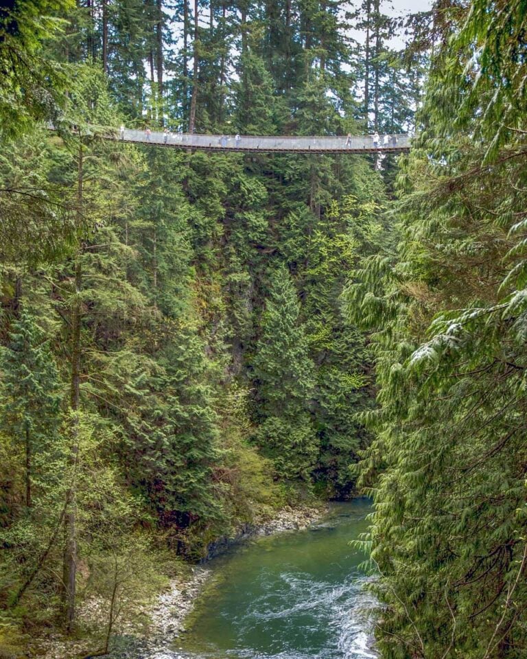 17 Things to KNOW Before Visiting Capilano Suspension Bridge