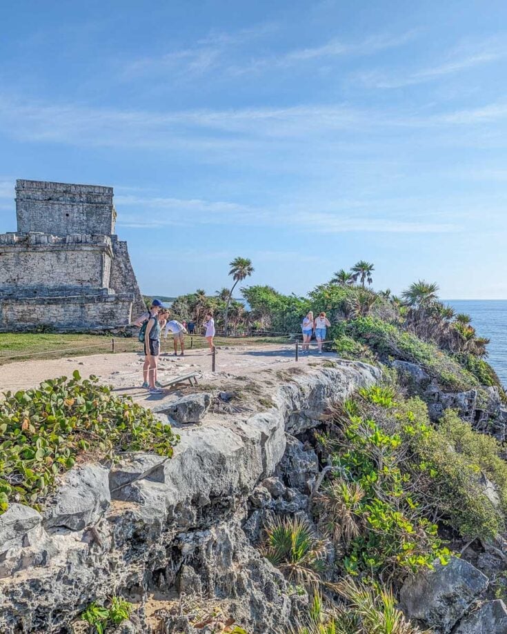 5 BEST Tours to See Turtles in Tulum, Mexico - Destinationless Travel