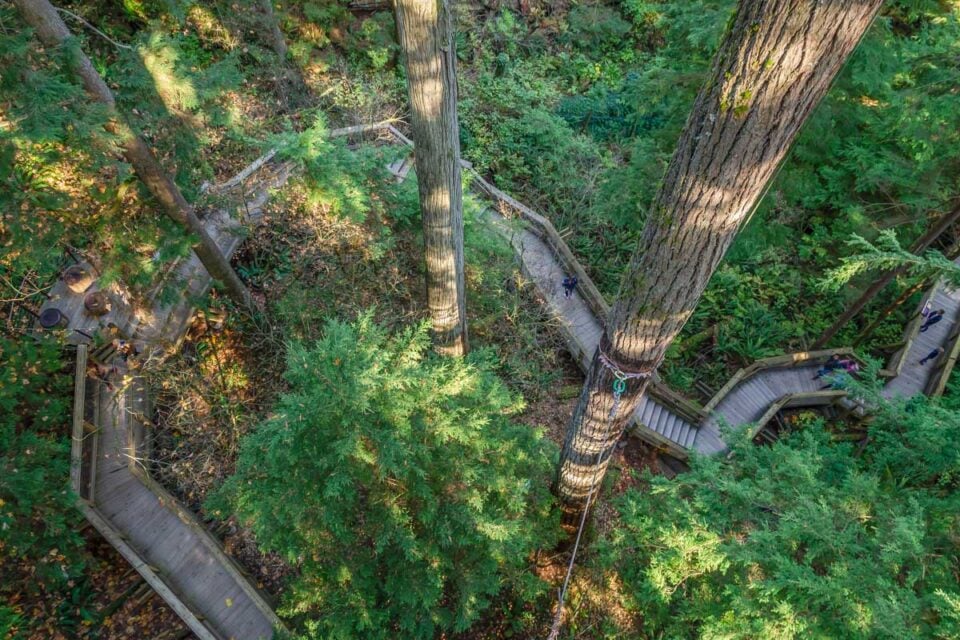 17 Things to KNOW Before Visiting Capilano Suspension Bridge