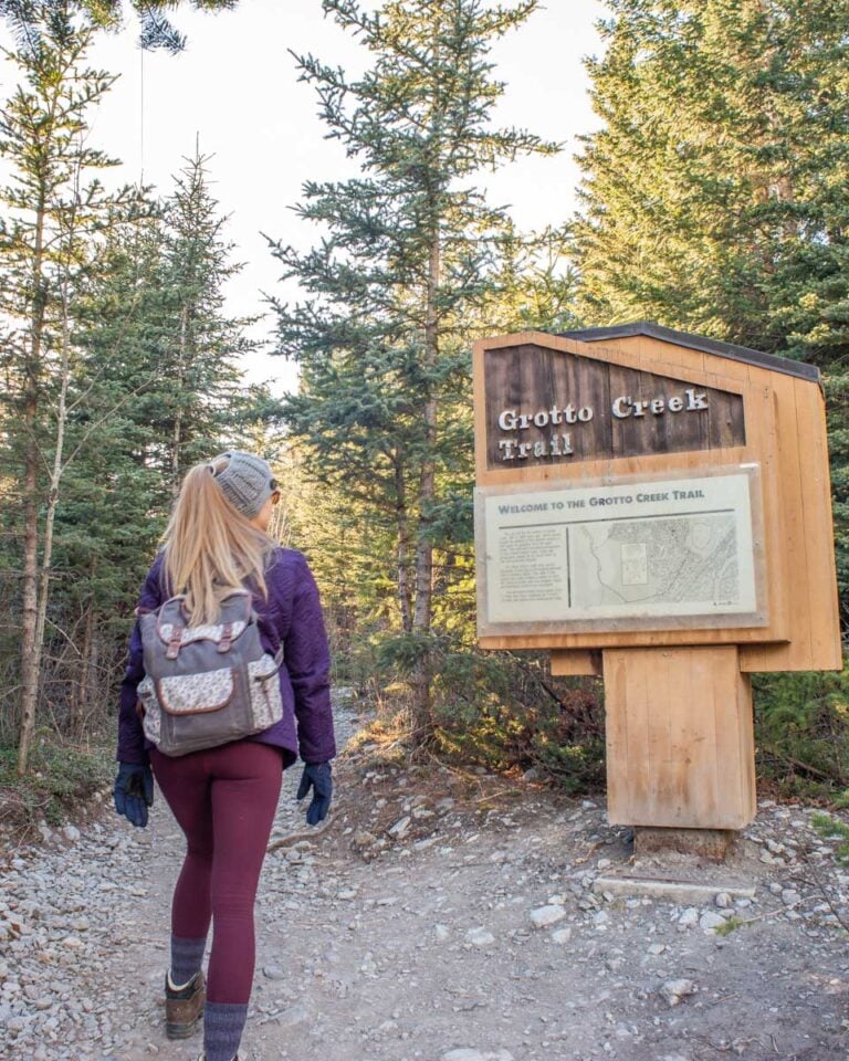 10 Things to KNOW About the Grotto Canyon Icewalk - Destinationless Travel
