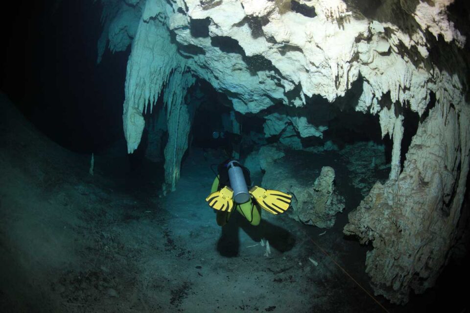 12 Things to KNOW Before Going Scuba Diving in Tulum - Destinationless ...