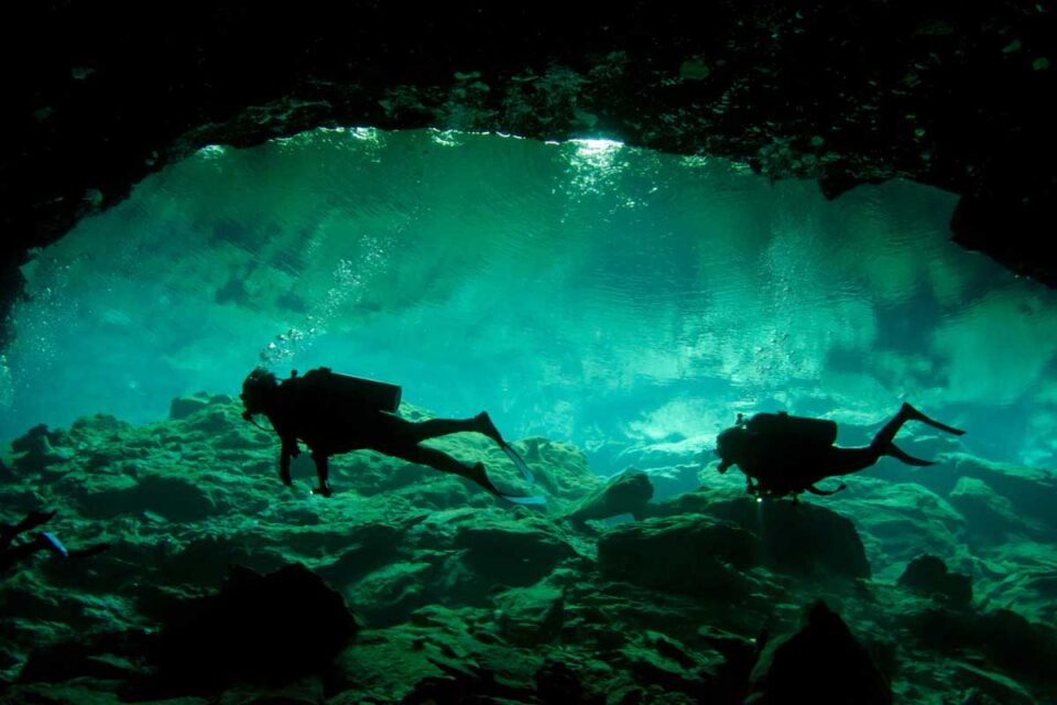 12 Things to KNOW Before Going Scuba Diving in Tulum - Destinationless ...