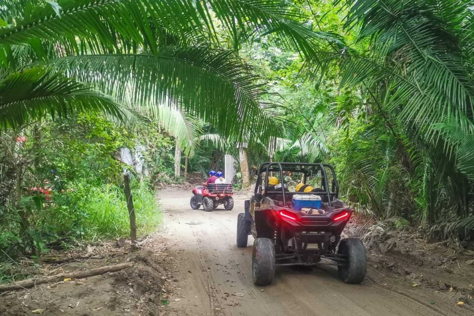 10 Things to Know BEFORE Booking an ATV Tour in Tulum - Destinationless ...
