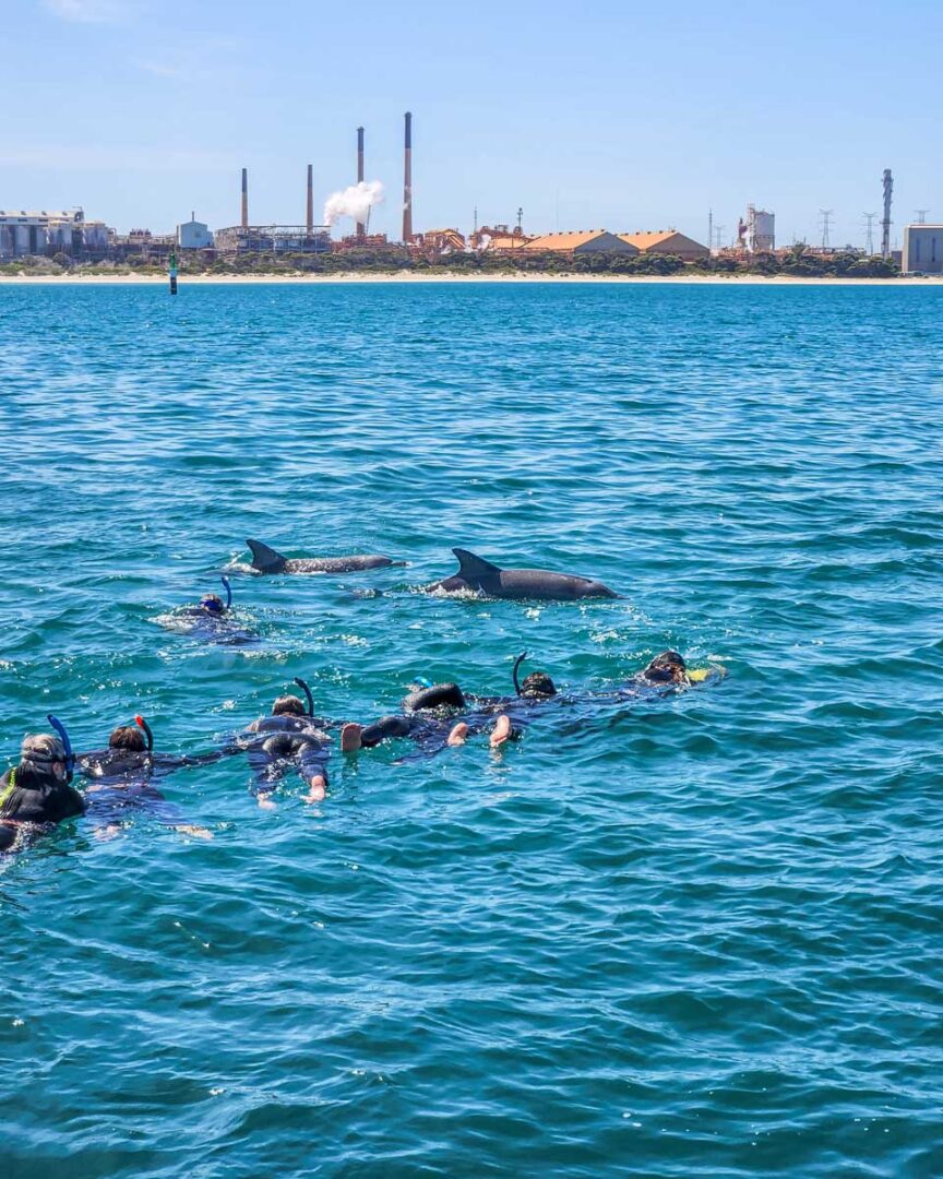 12 Best Tours in Perth, Australia - from a Local! - Destinationless Travel