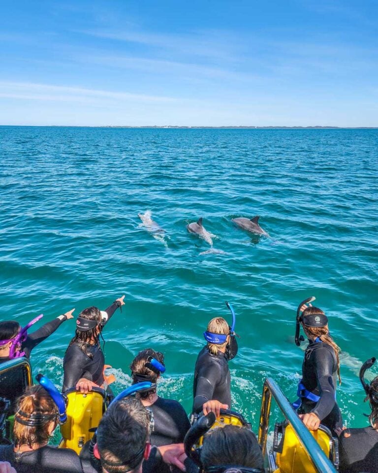 12 Best Tours in Perth, Australia - from a Local! - Destinationless Travel