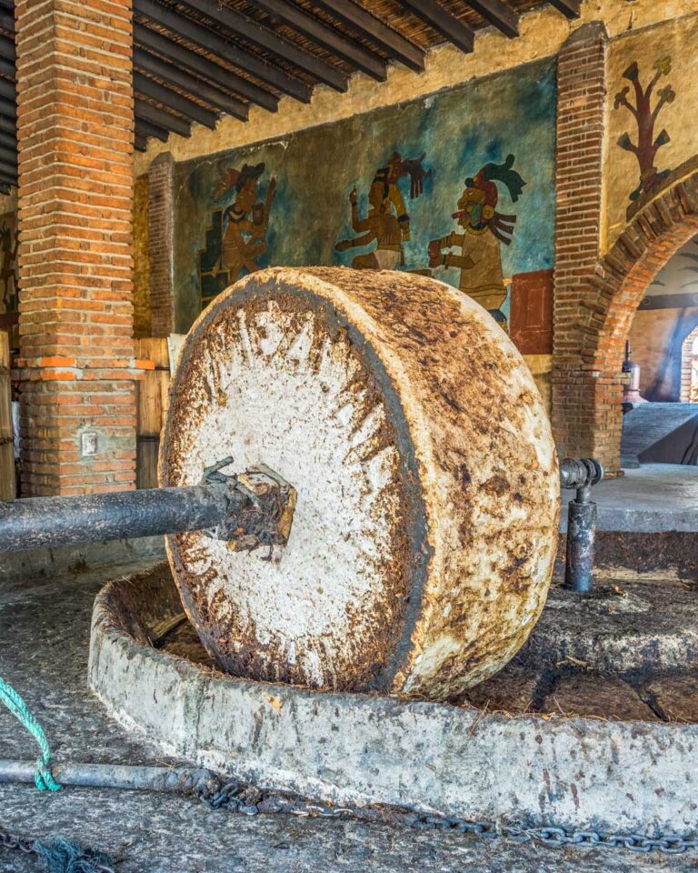 7 BEST Tequila Tours in Puerto Vallarta +Tips BEFORE Booking