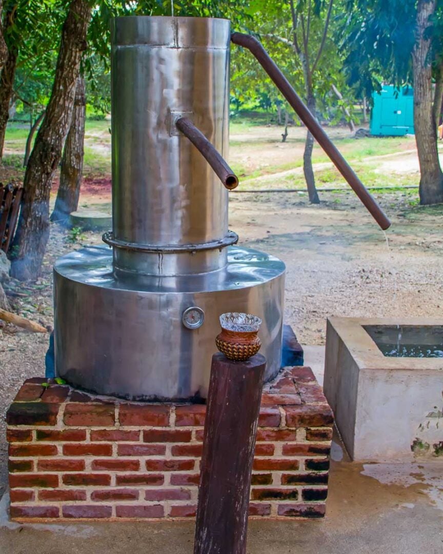 7 BEST Tequila Tours in Puerto Vallarta +Tips BEFORE Booking