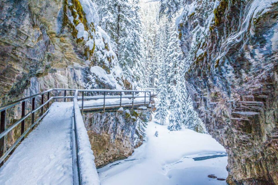 10 BEST Winter Tours in Banff to Explore Canada’s Winter Wonderland