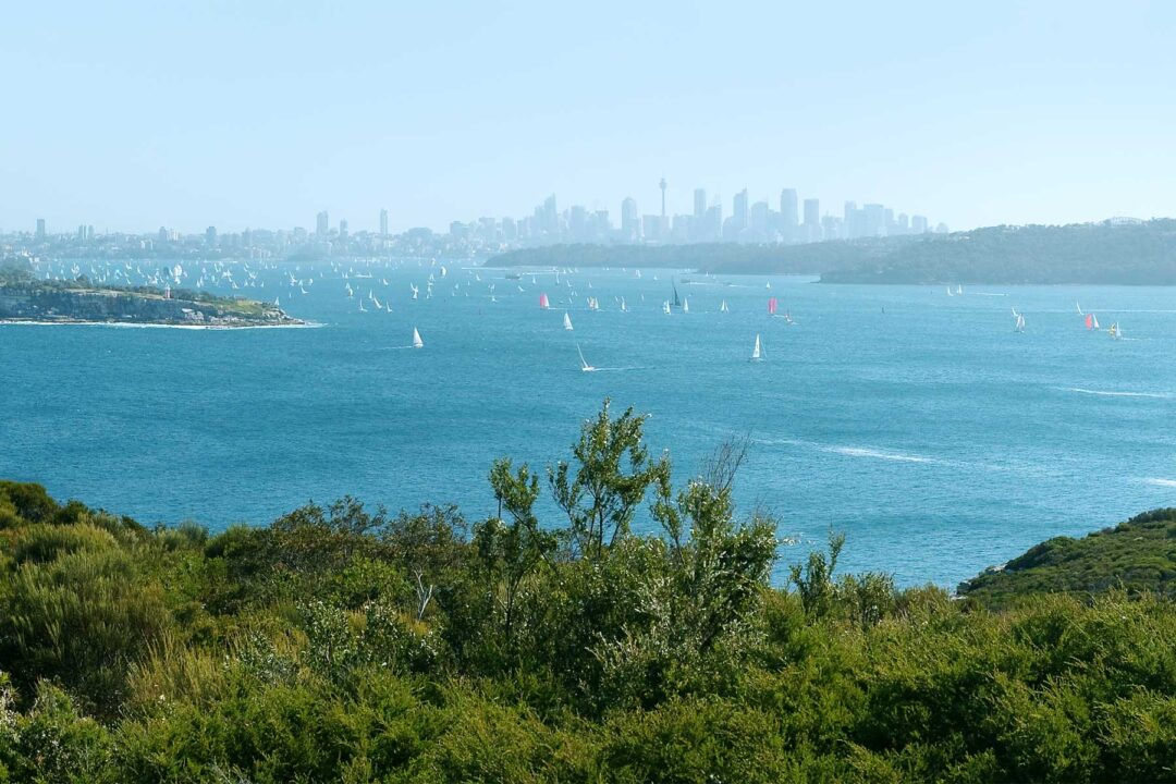 15 FUN Things to do in Manly Beach, Sydney (2024 Guide!)