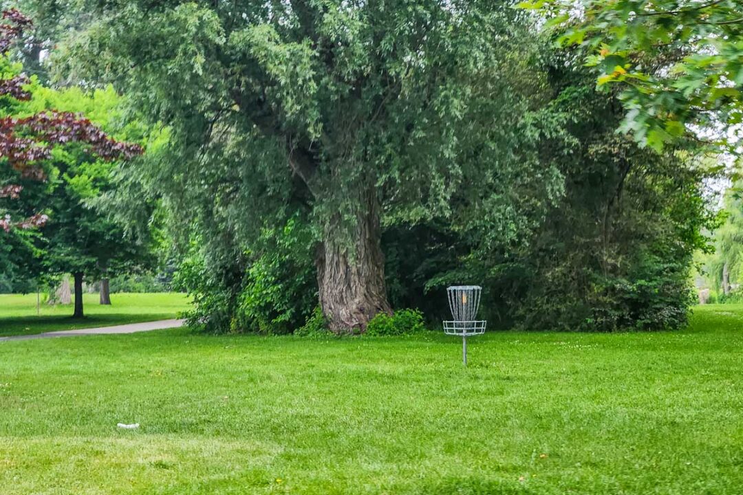 12 Things to Know BEFORE Visiting the Toronto Islands - Destinationless ...