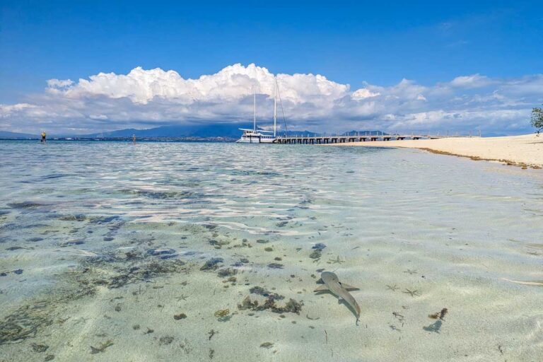 12 Things to Know BEFORE Visiting Tivua Island, Fiji - Destinationless ...
