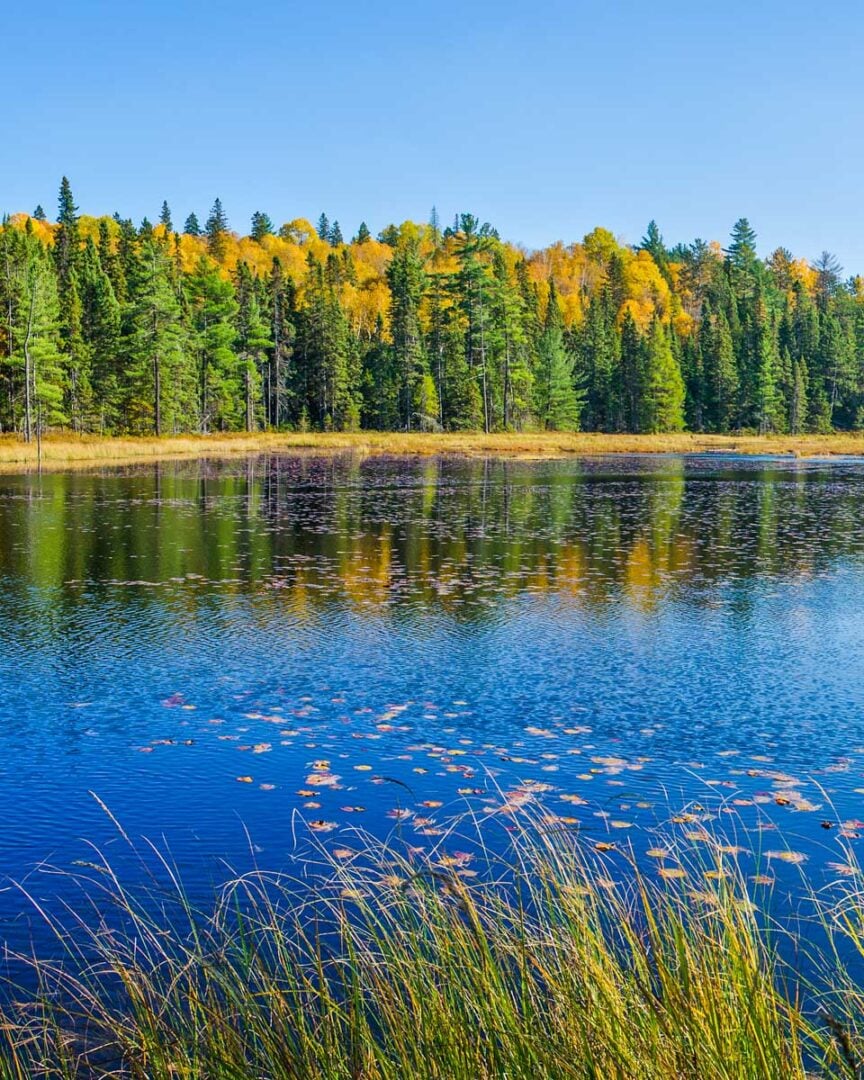15 BEST Day Trips from Toronto (2025 Guide!) - Destinationless Travel