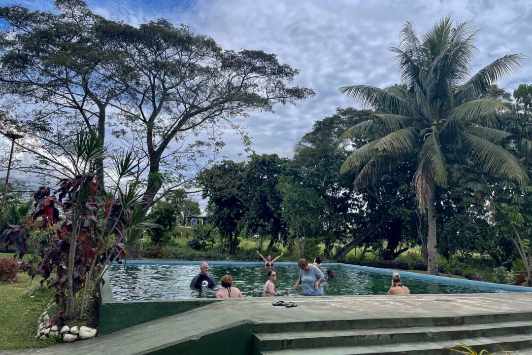 10 Things to Know BEFORE Visiting the Fiji Mud Pools - Destinationless ...