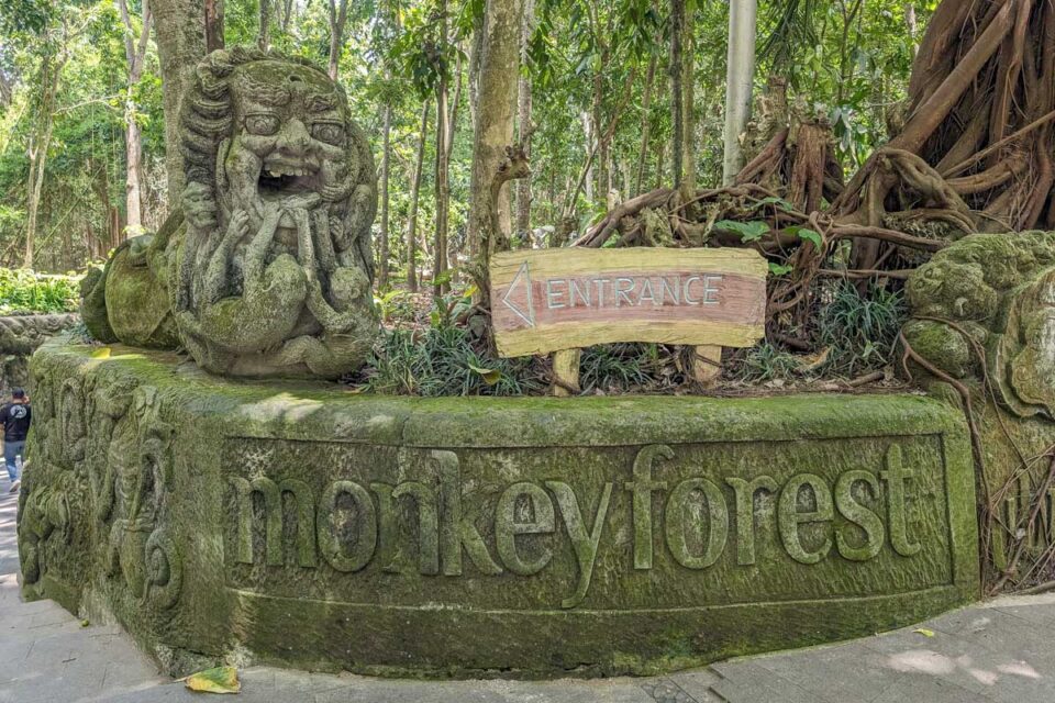 10 Things to Know BEFORE Visiting the Ubud Monkey Forest ...