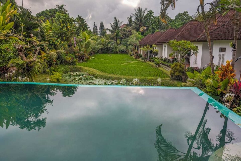 The Best Ubud Tour - My Honest Review and Who Should Do This Tour!