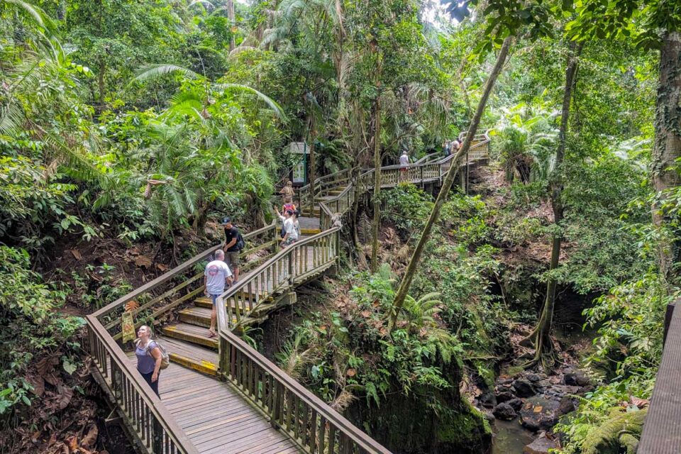 10 Things to Know BEFORE Visiting the Ubud Monkey Forest ...