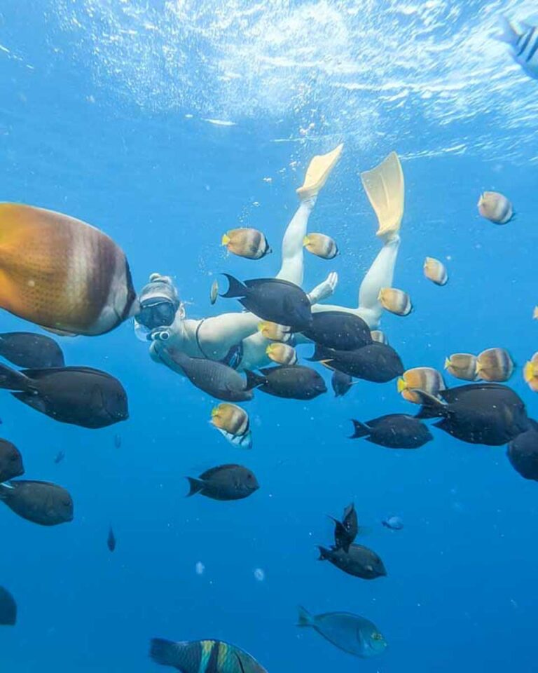 33 BEST Things to do in Fiji - Your Ultimate Fiji Bucket List