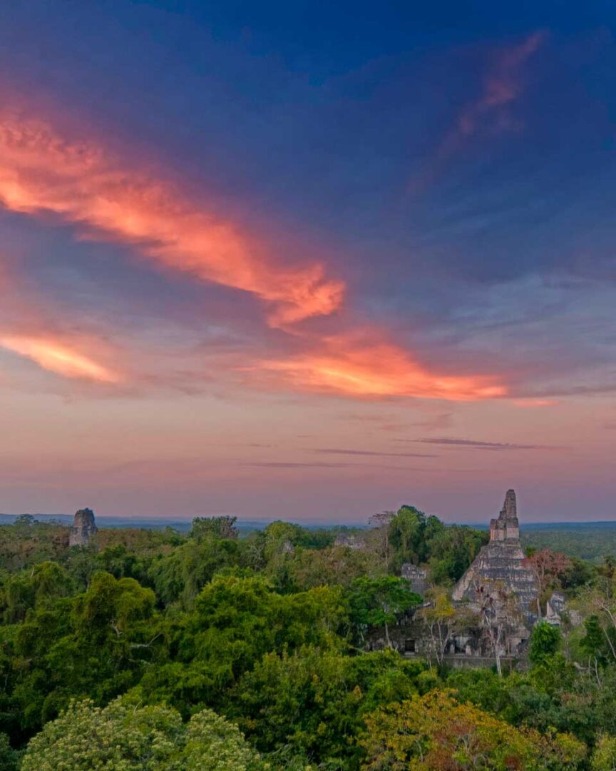 5 Best Tikal Tours to Explore the Ancient Site - Destinationless Travel