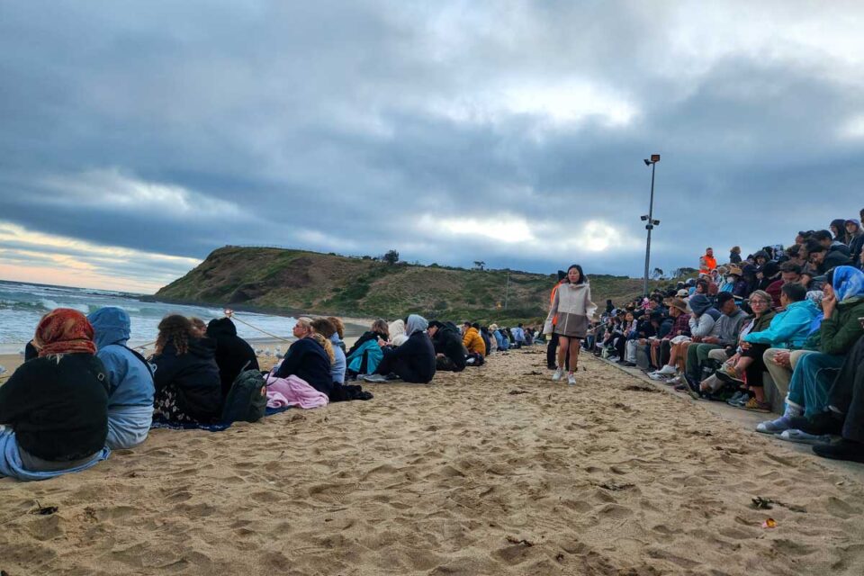 10 Things to Know About the Phillip Island Penguins - Destinationless ...