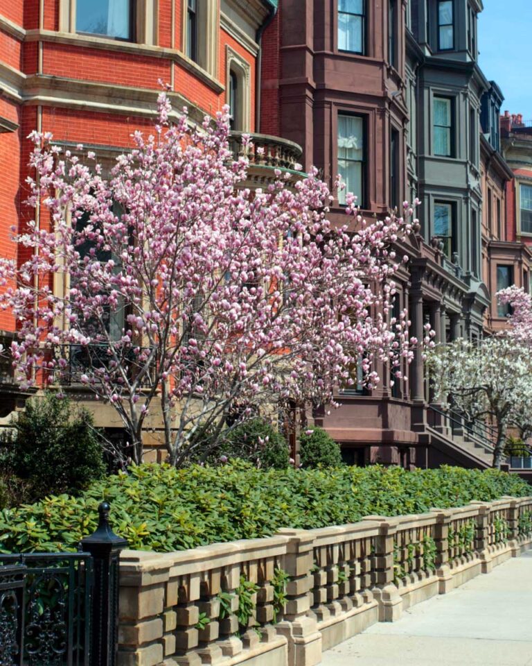 How to Spend THREE DAYS in Boston, Massachusetts: 3-Day Itinerary