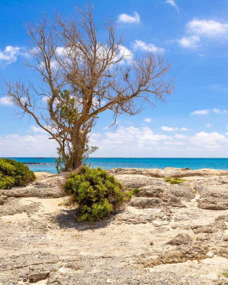 How to Spend FIVE DAYS in Crete, Greece: 5-Day Itinerary ...