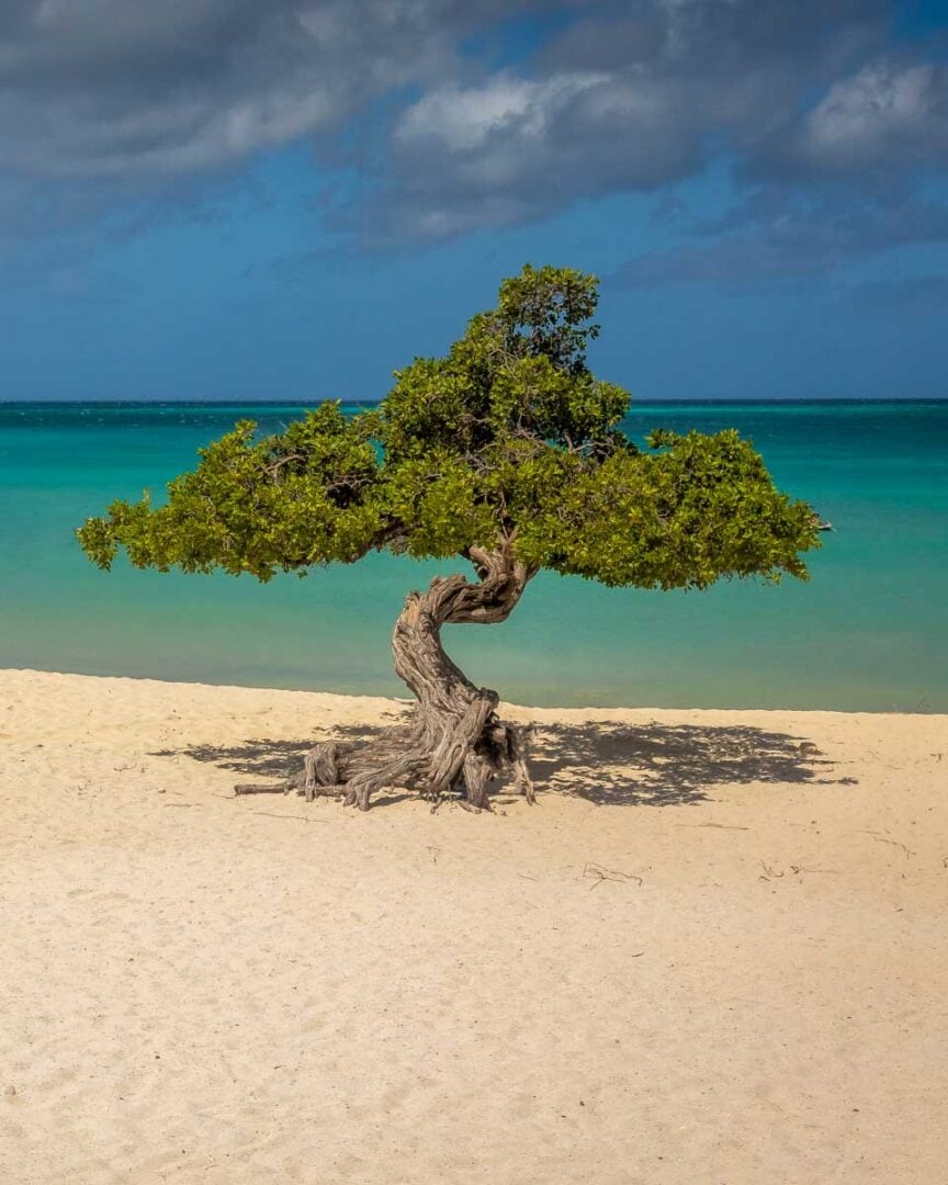 How to Spend FIVE DAYS in Aruba: 5-Day Itinerary - Destinationless Travel