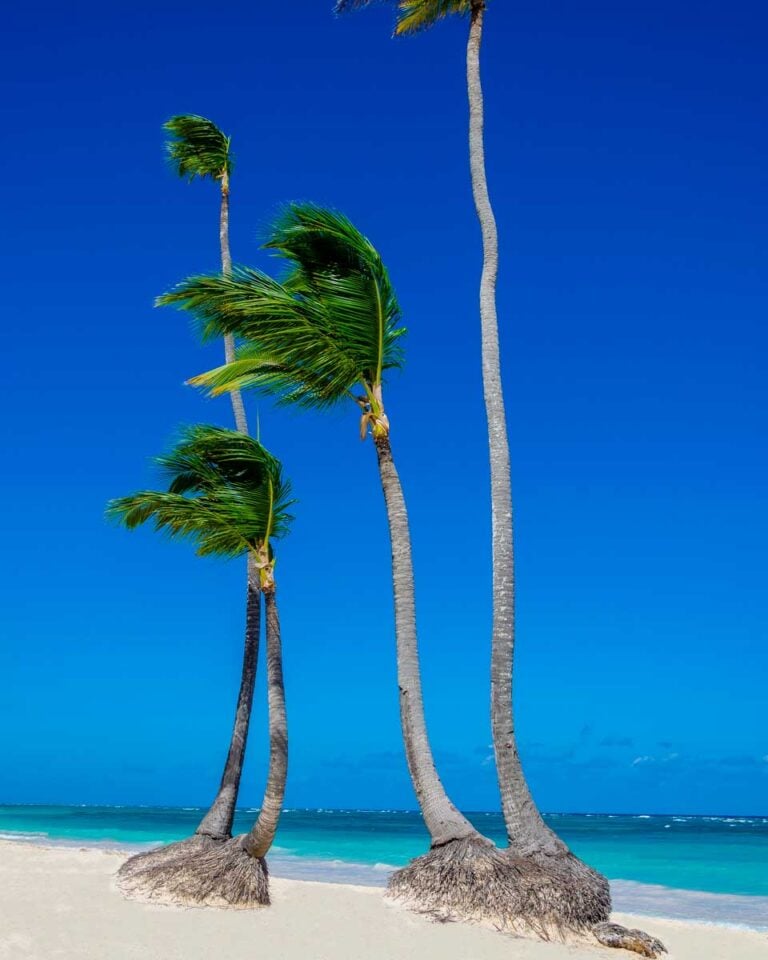 How to Spend FIVE DAYS in Turks and Caicos: 5-Day Itinerary ...